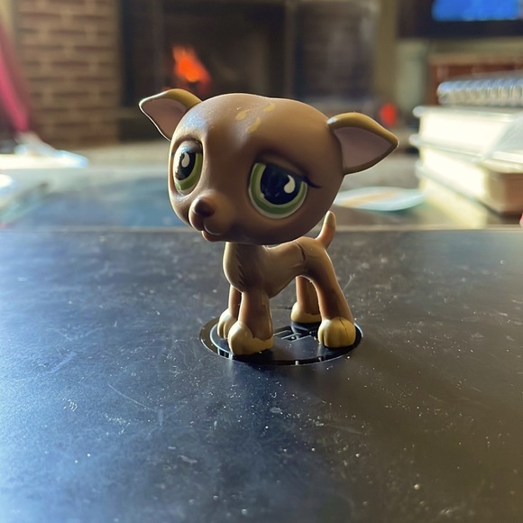 Hasbro | Toys | Littlest Pet Shop Greyhound Dog Lps 216 Green Eyes ...